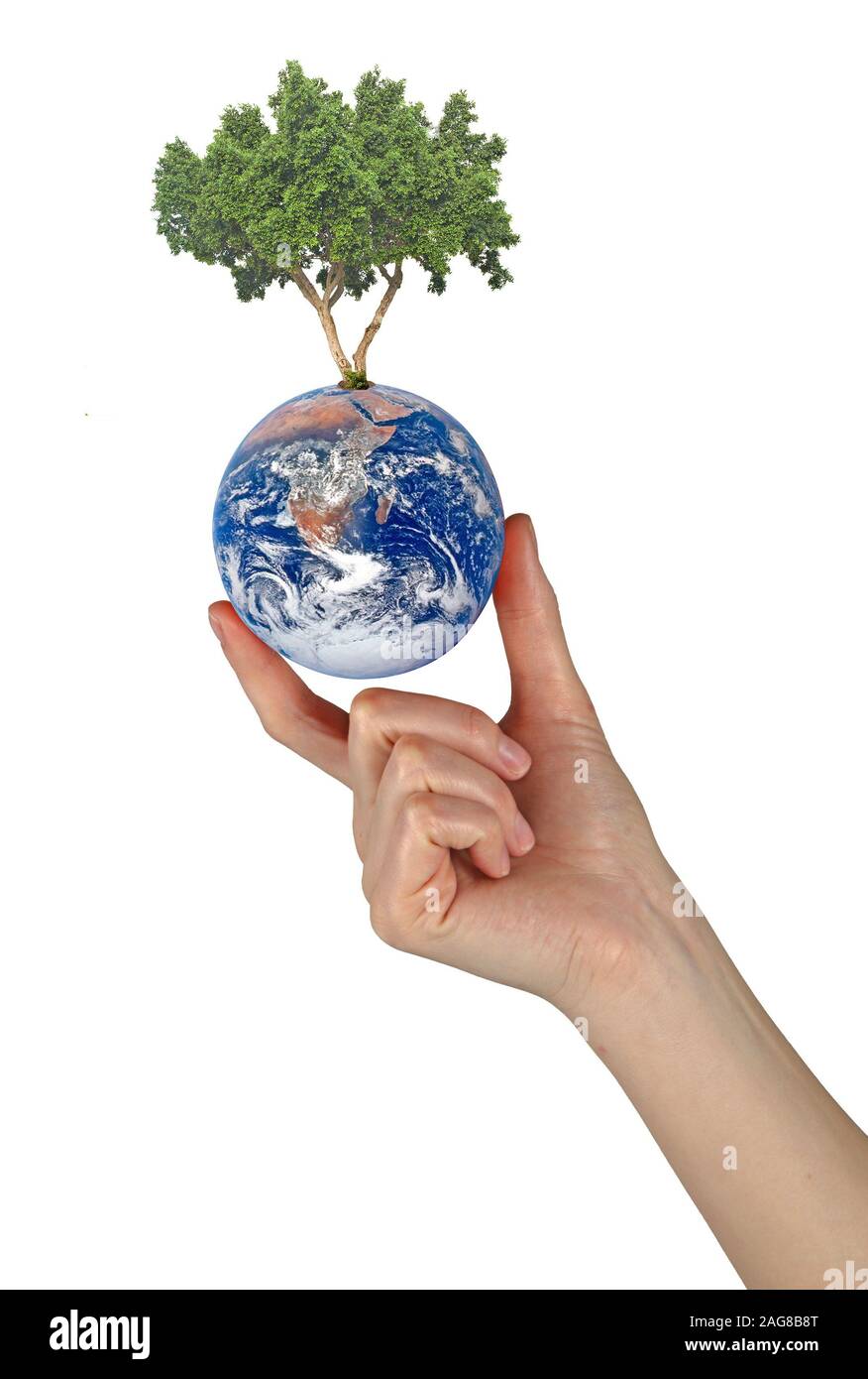 Tree on Earth as a symbol of peace.Elements of this image furnished by ...