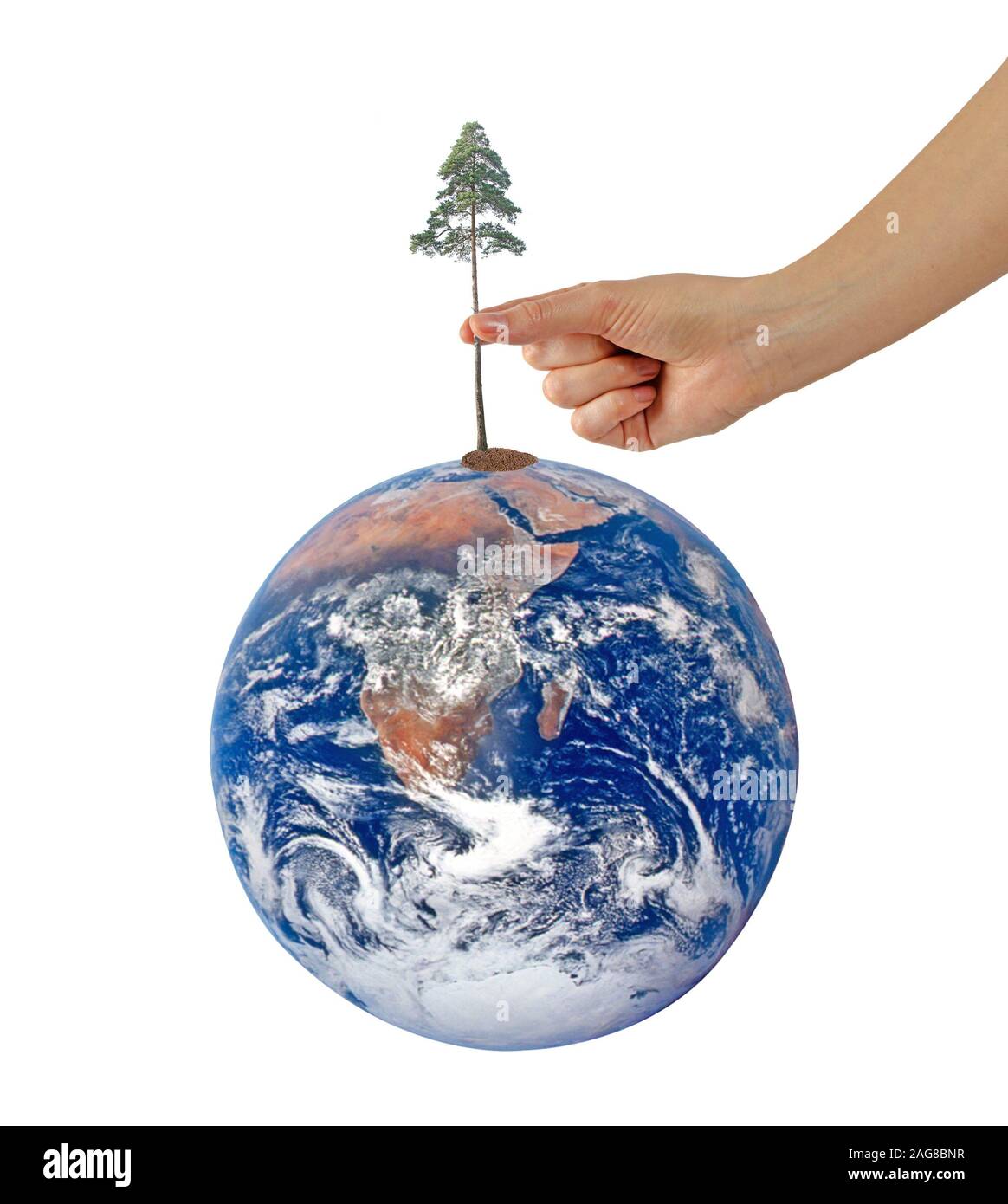 Tree on Earth as a symbol of peace.Elements of this image furnished by ...