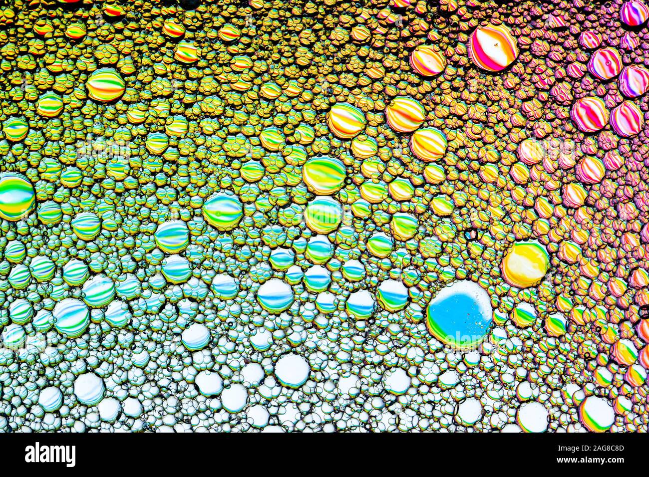 Colorful drops of oil on the water. Circles and ovals. Abstract bright ...