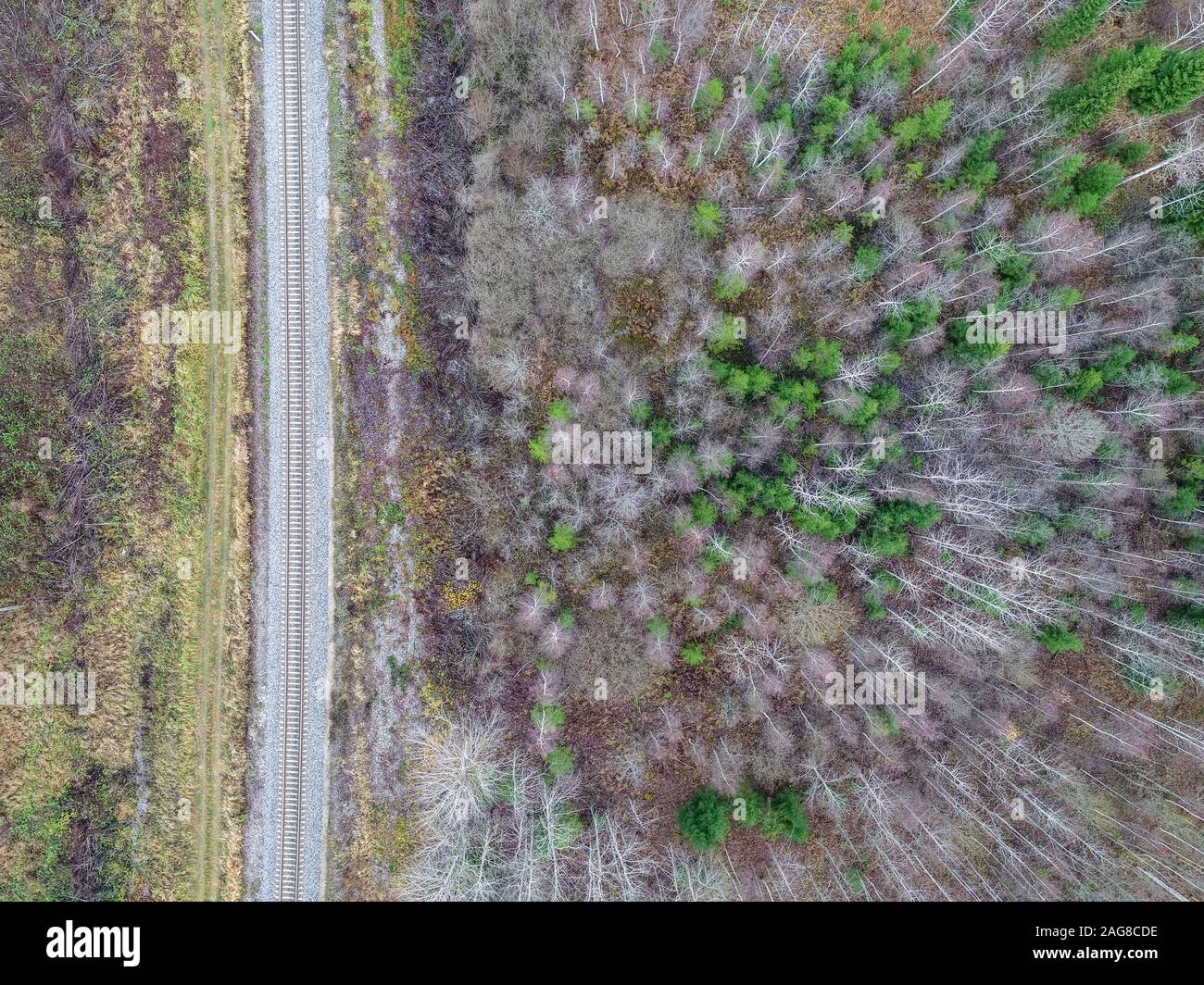 High angle shot of beautiful trees in a forest near a road - great for ...