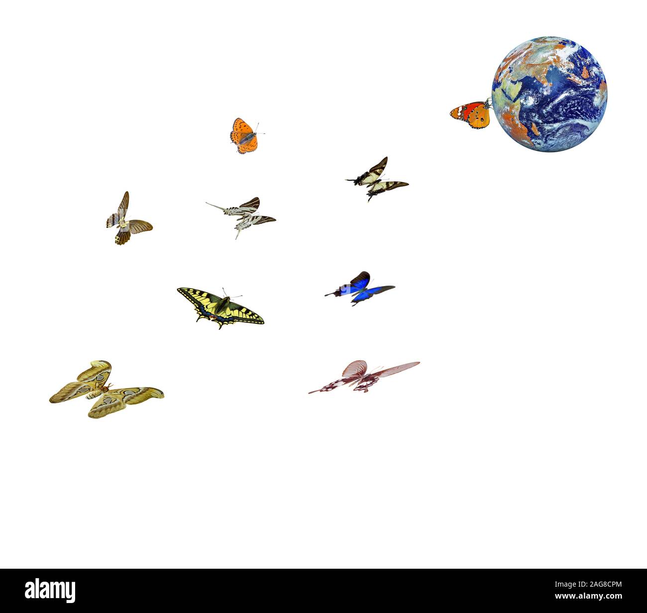 Butterfly conservation metaphor Cut Out Stock Images & Pictures - Alamy