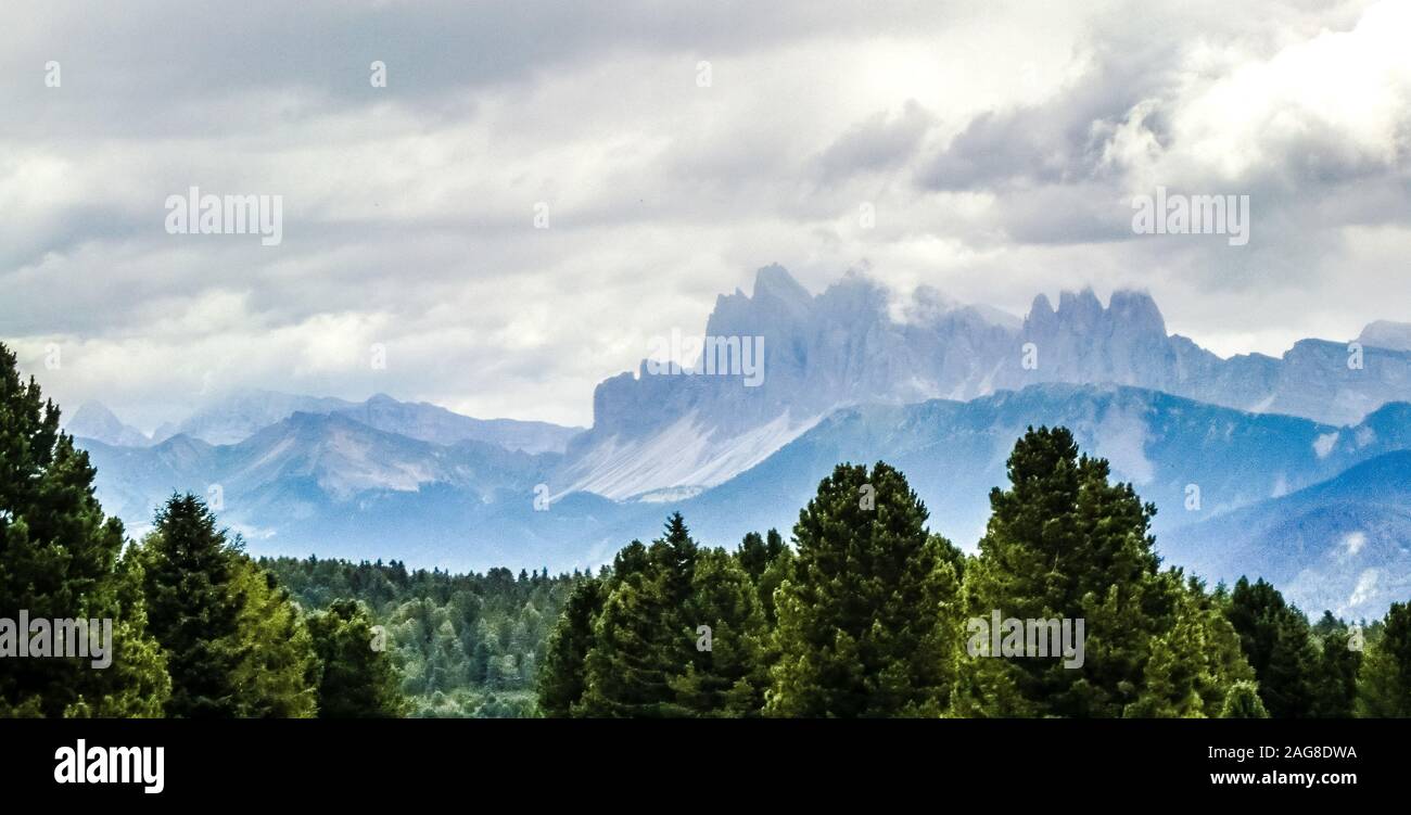 Wide shot breathtaking forest hi-res stock photography and images - Alamy