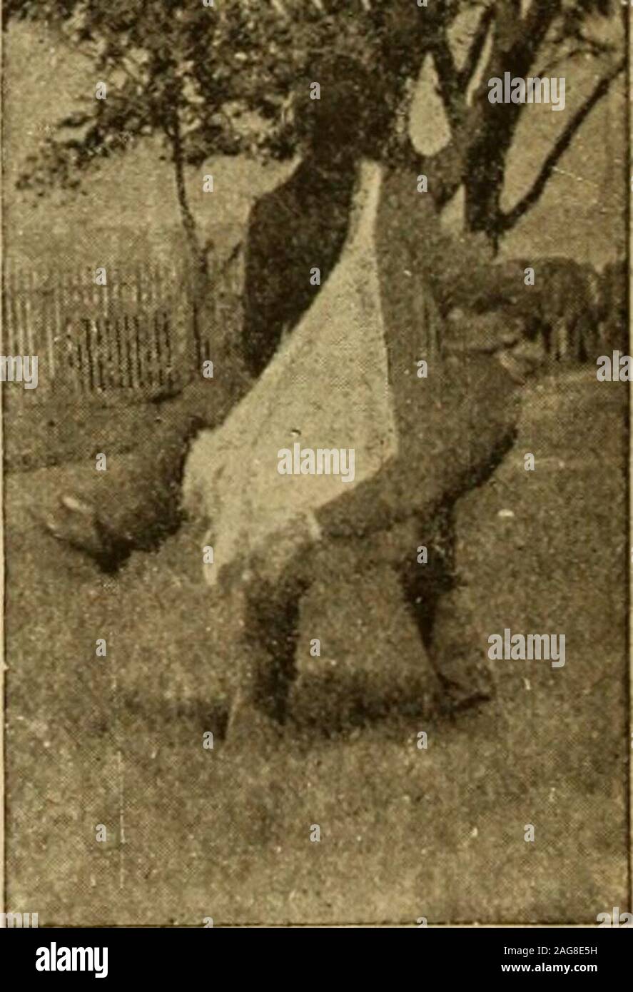 Lifting left arm hi-res stock photography and images - Alamy