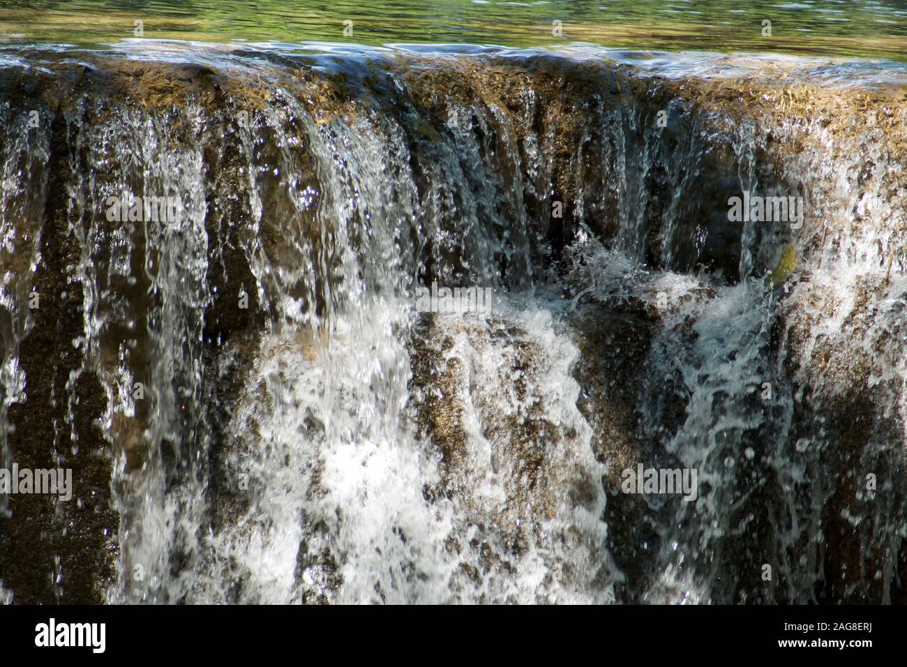 Mato grosso do sul jungle hi-res stock photography and images - Alamy