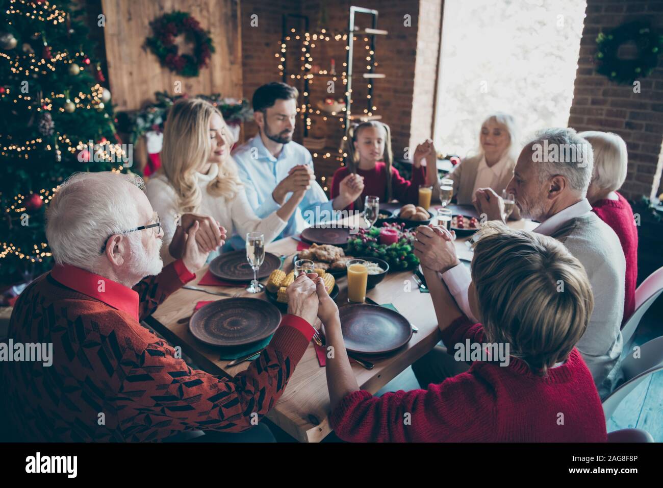 Nice careful affectionate friendly childhood idyllic peaceful calm big ...