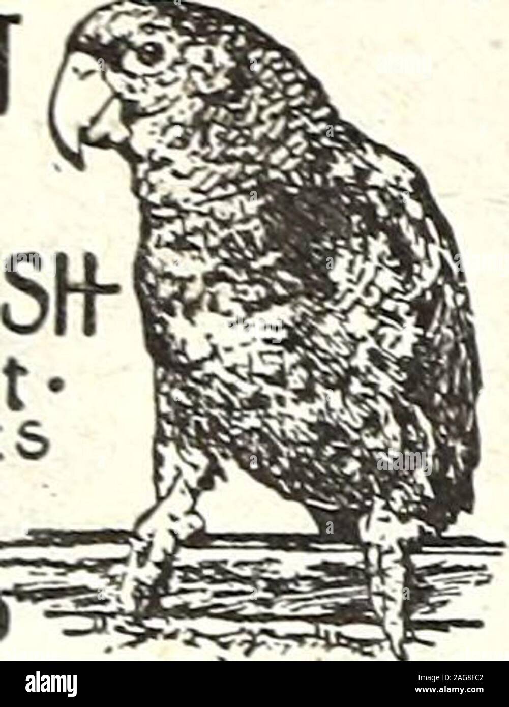 George wiggins hi-res stock photography and images - Alamy