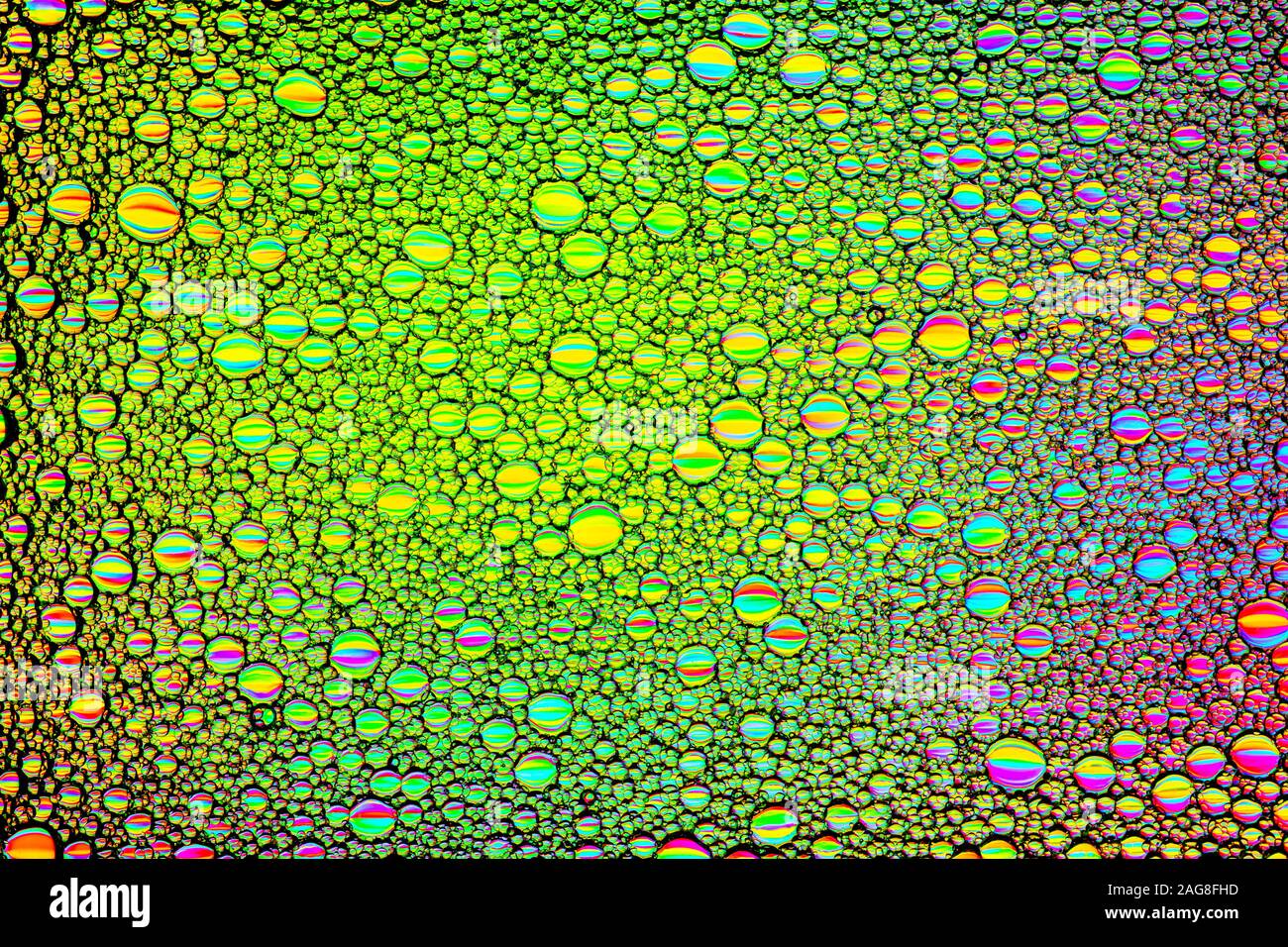 Colorful drops of oil on the water. Circles and ovals. Abstract bright ...