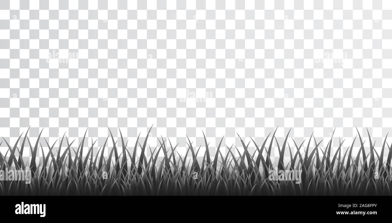 Gray grass border set on transparent background. Vector Illustration ...