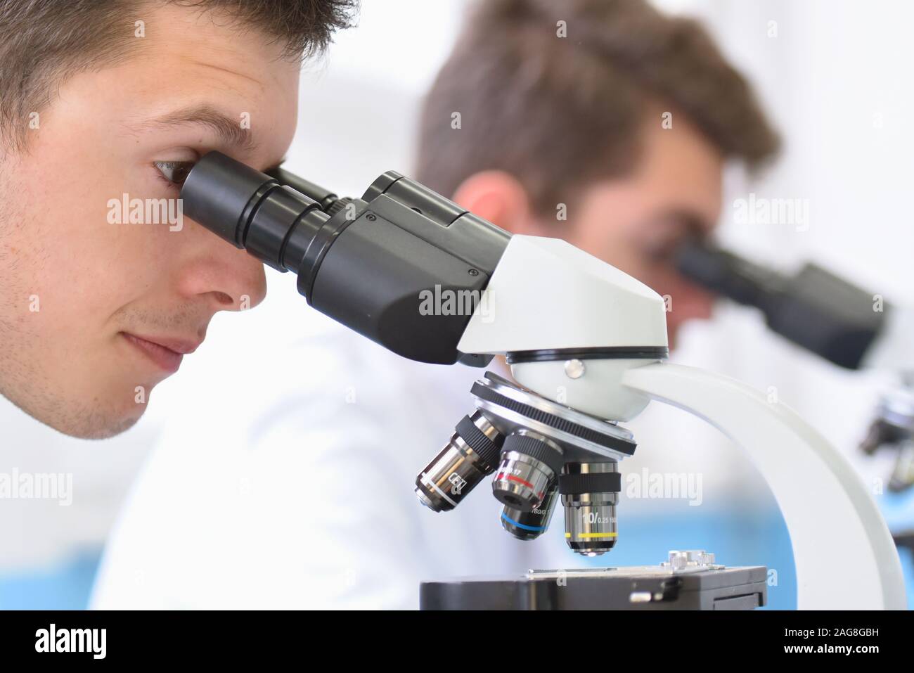 Two Young male scientists looking through a microscope in a laboratory ...
