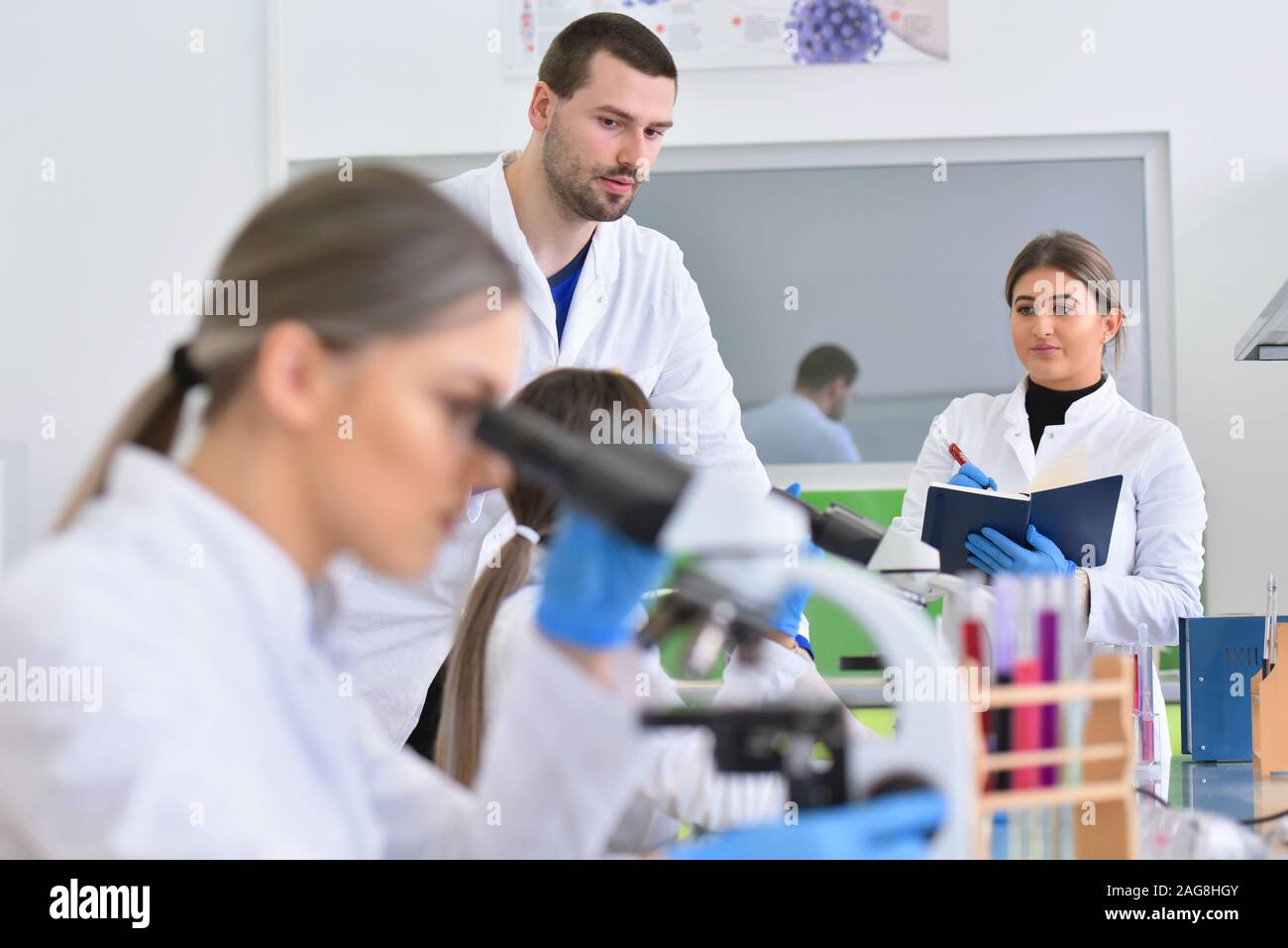 Group of young Laboratory scientists working at lab with test tubes and ...