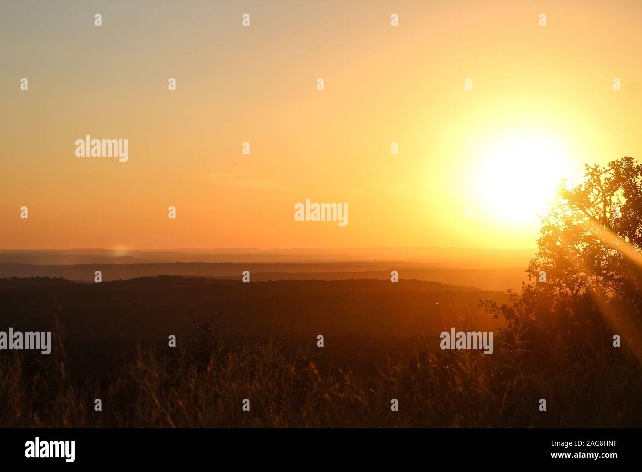 Lady bird lake austin trail hi-res stock photography and images - Alamy