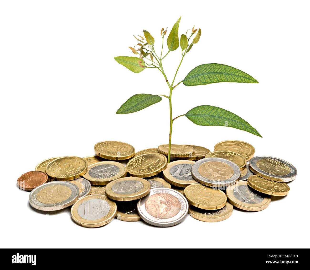 Tree growing from pile of coins Stock Photo - Alamy