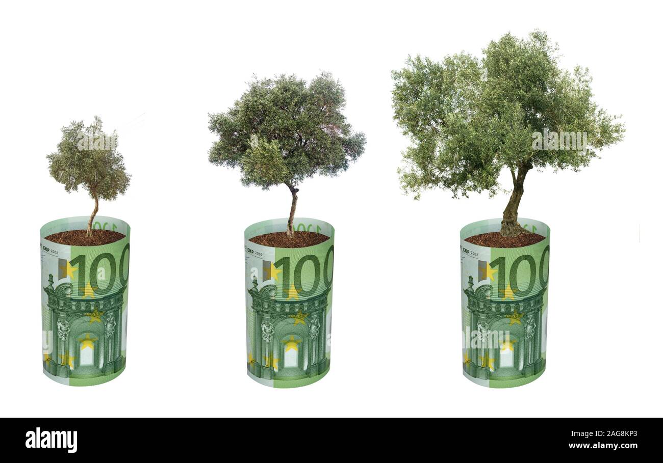 Three Olive trees growing from euro bill Stock Photo - Alamy