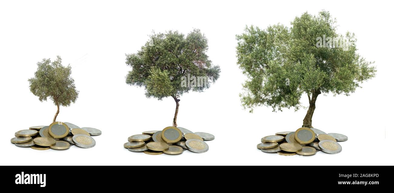Three Olive trees growing from pile of coins Stock Photo - Alamy
