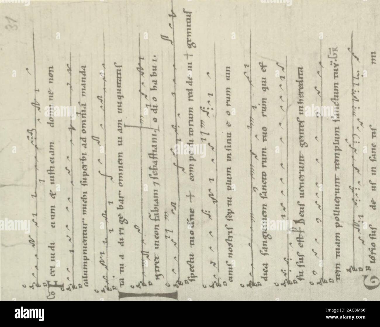 S gallican hi-res stock photography and images - Alamy