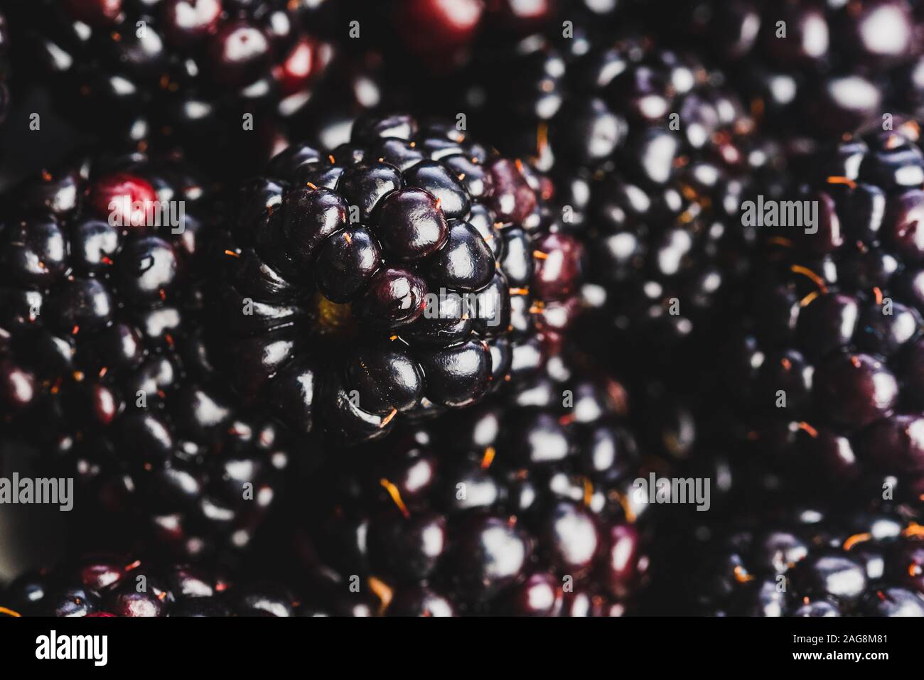 Freshness photography hi-res stock photography and images - Alamy