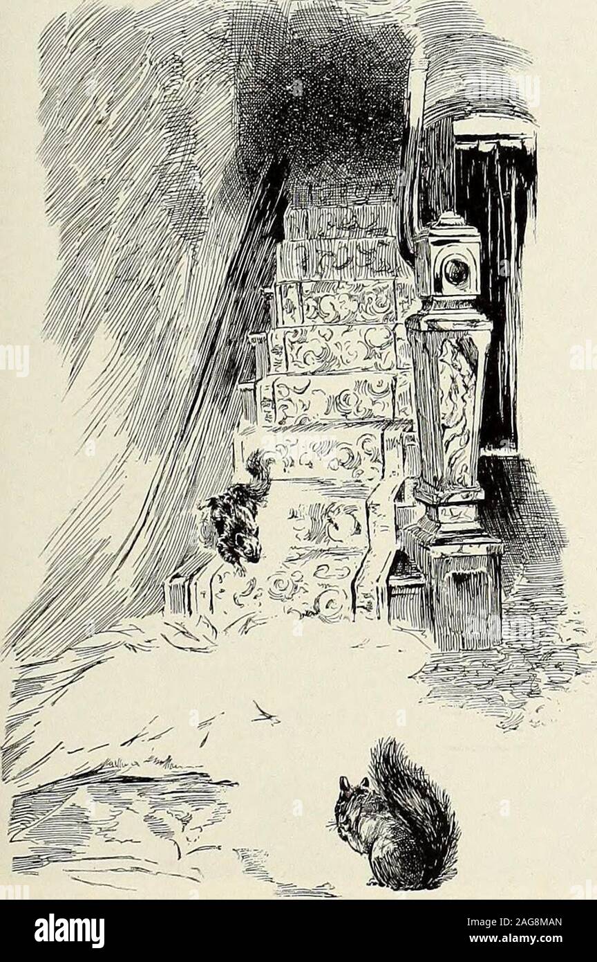 Nicholas nugent hi-res stock photography and images - Alamy