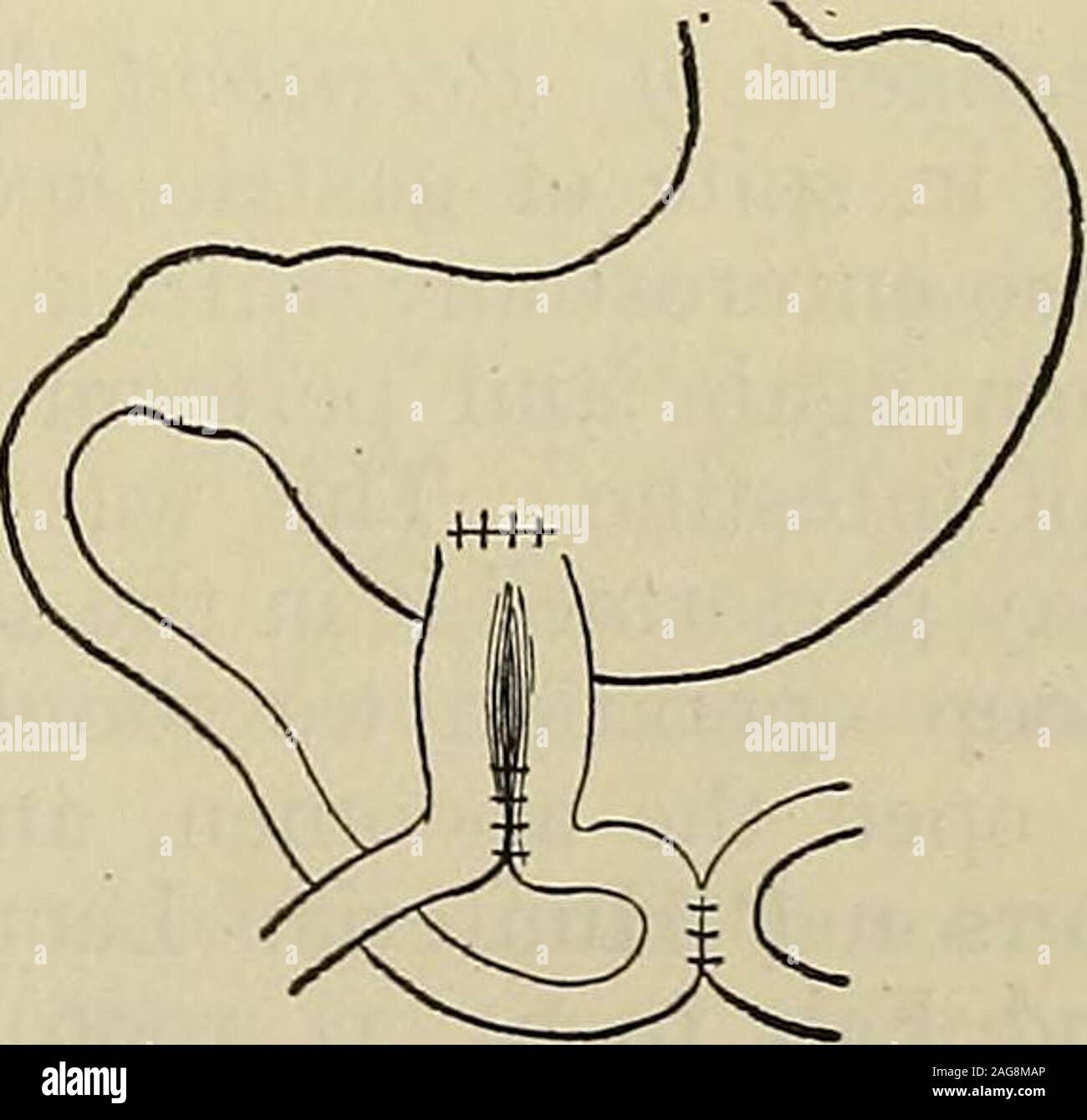 751 feet long hi-res stock photography and images - Alamy