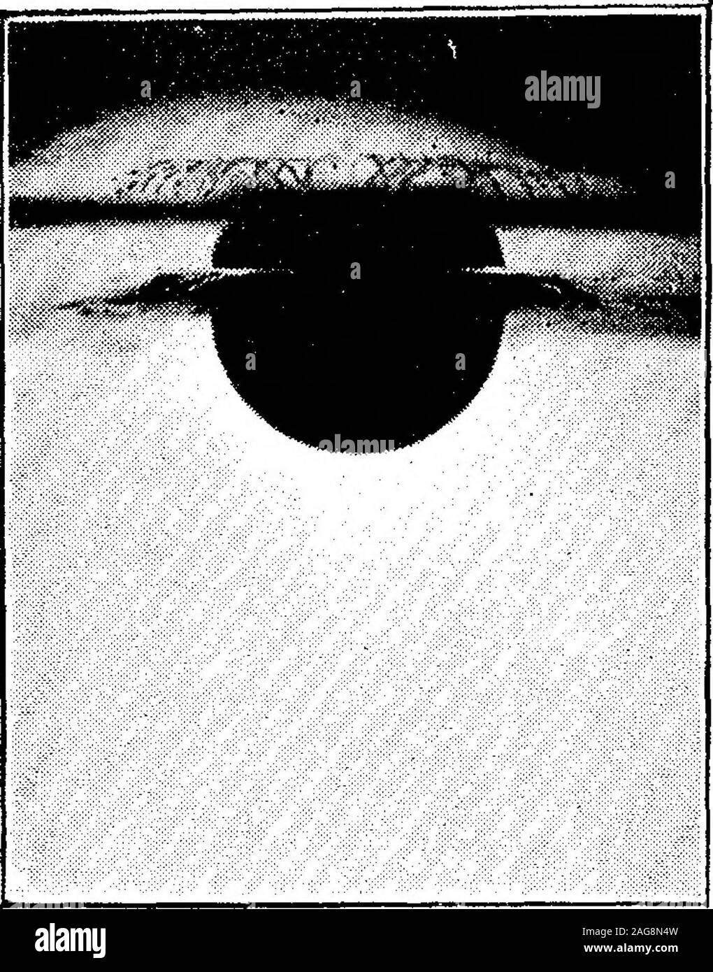 V series r Black and White Stock Photos & Images - Alamy