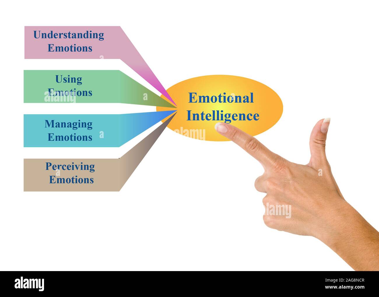 Diagram of emotional intelligence Stock Photo - Alamy