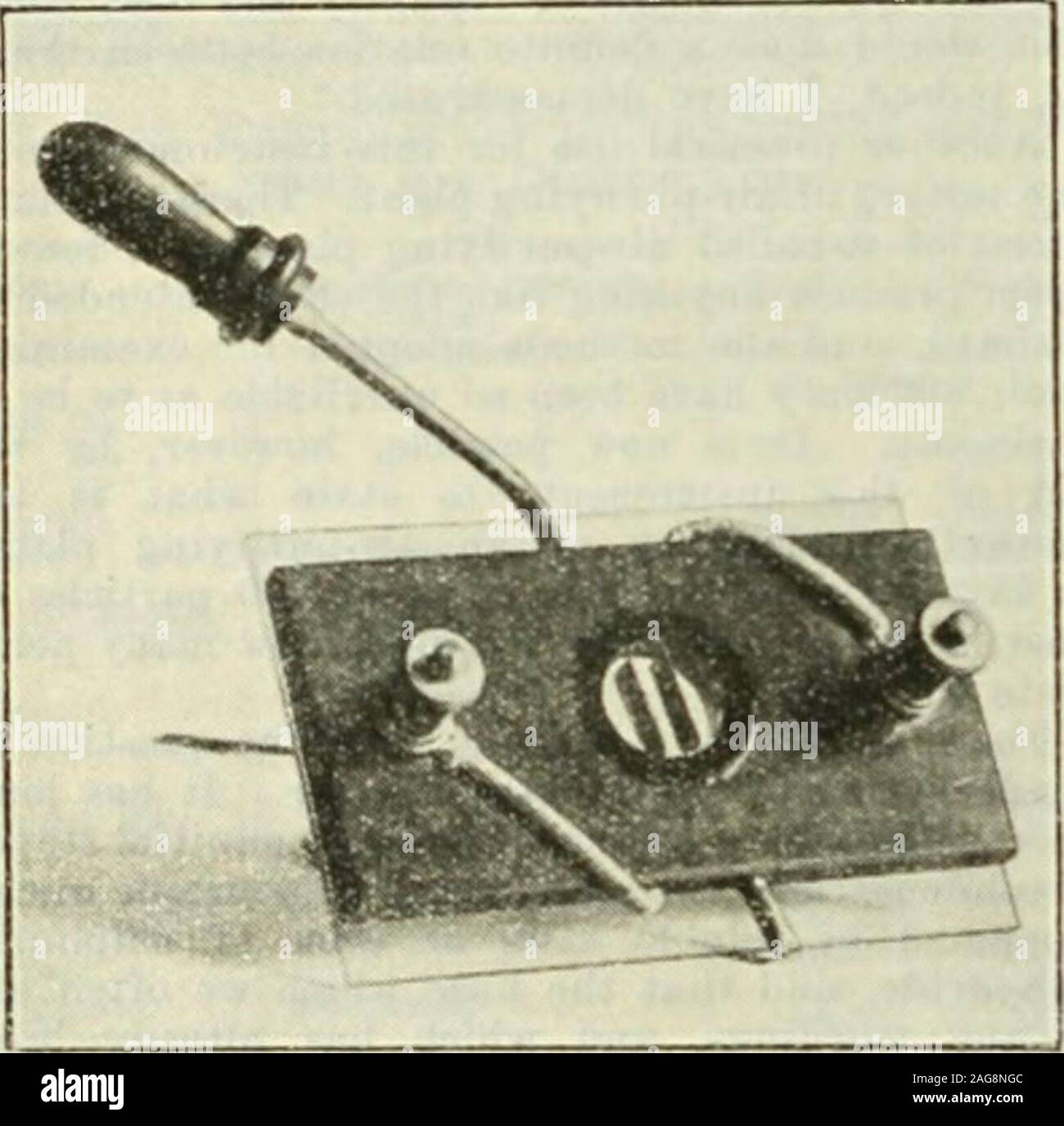 Electrode cell microscope hi-res stock photography and images - Alamy