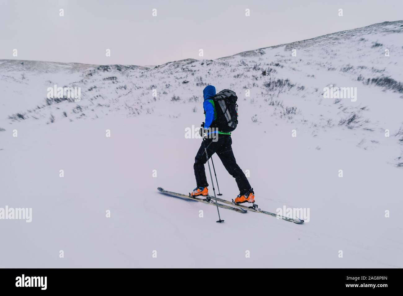 Ski alpinist training in the snowy Austrian Alps with equipment during ...