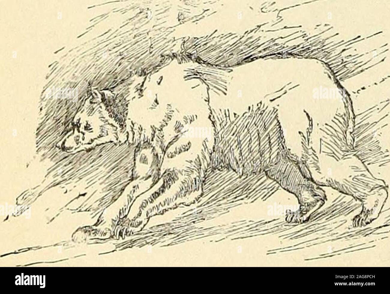 Ursus prison hi-res stock photography and images - Alamy