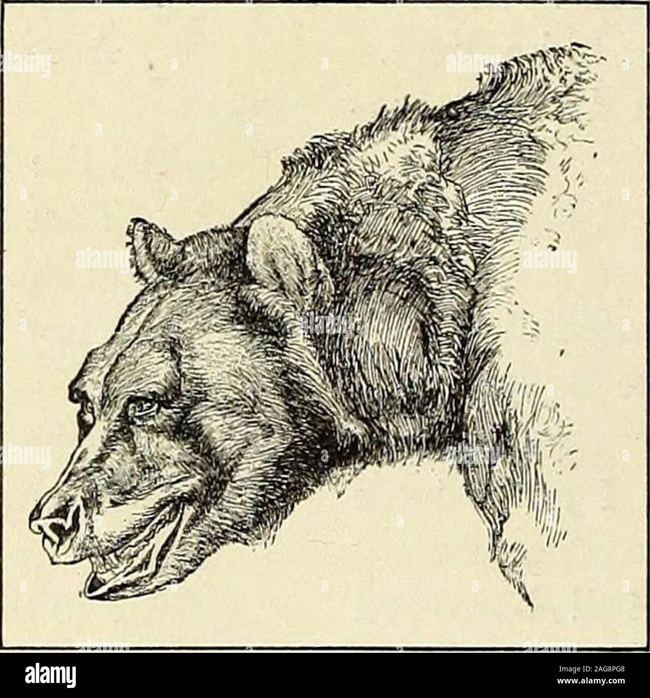 Cautious steps hi-res stock photography and images - Alamy