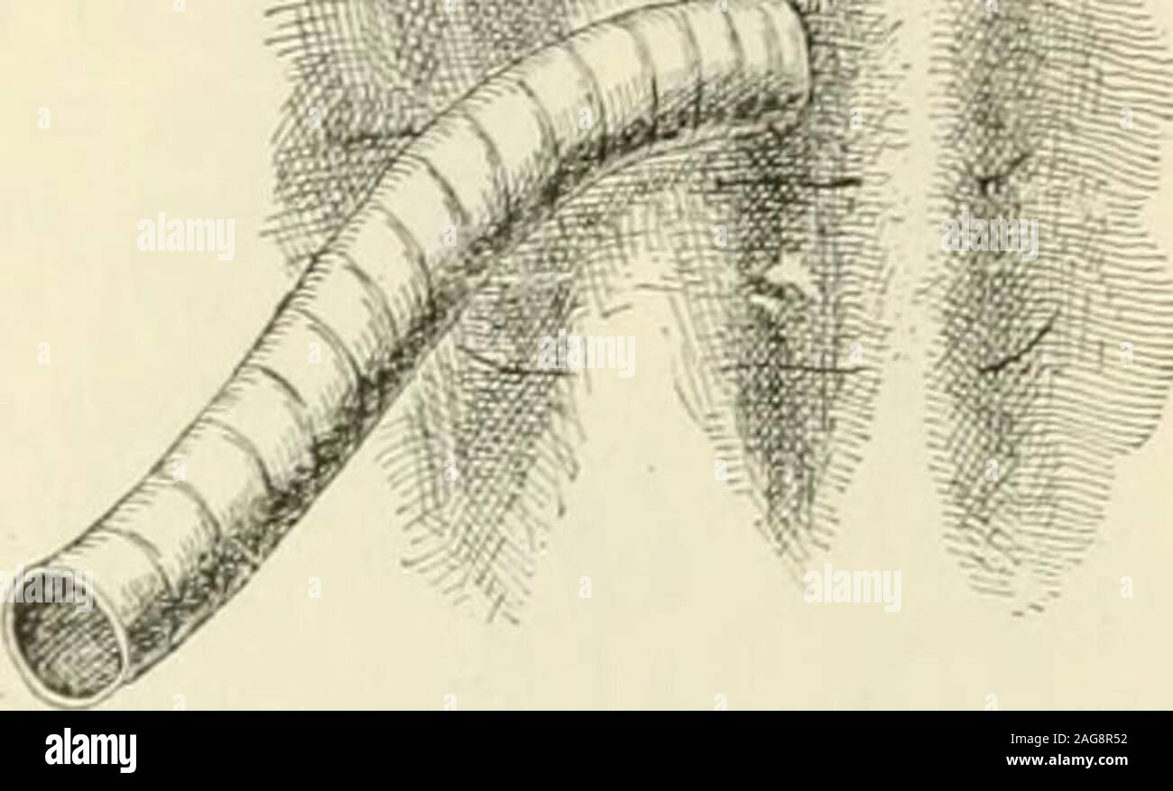 . Modern surgery, general and operative Stock Photo - Alamy