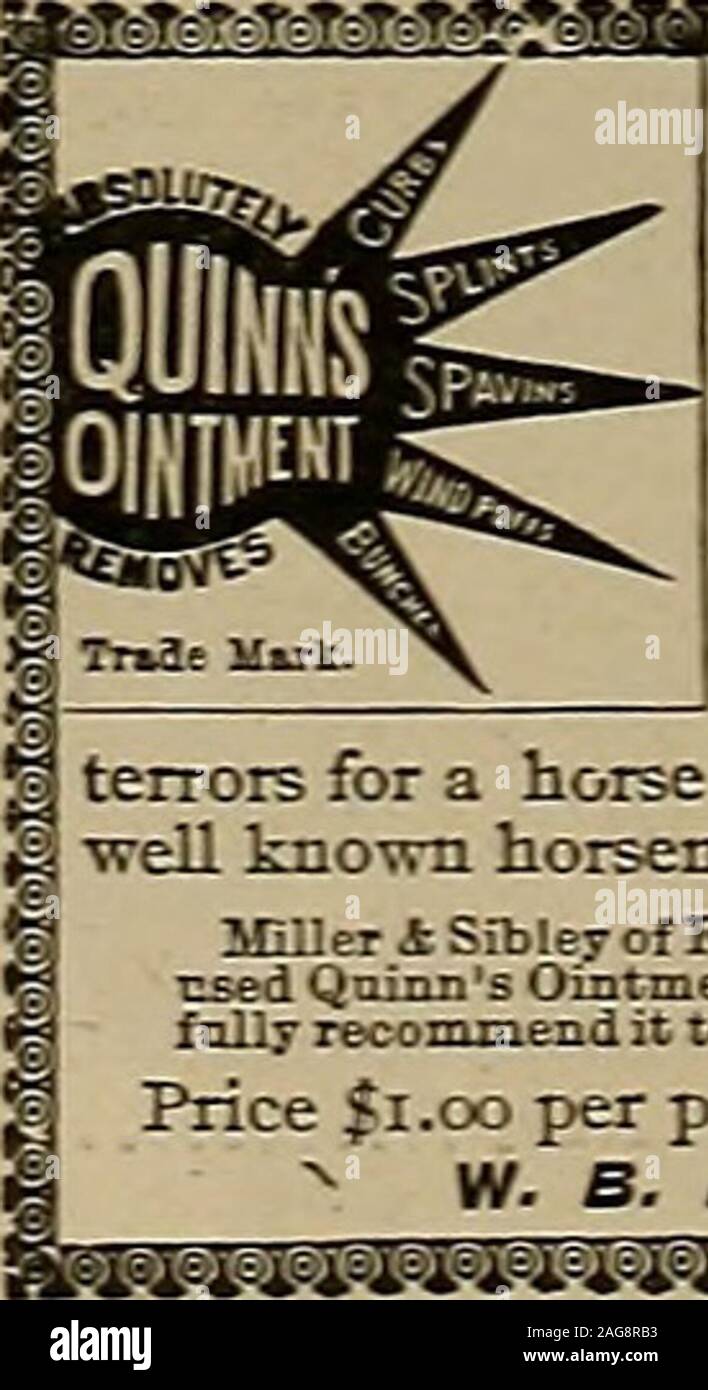 Bog spavin horse hi-res stock photography and images - Alamy