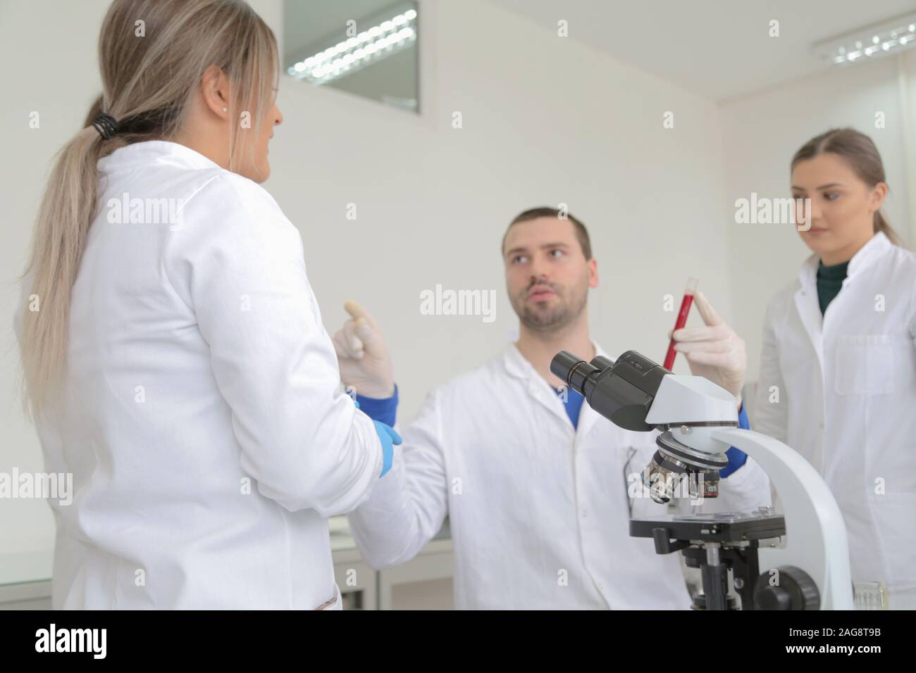 Group of young Laboratory scientists working at lab with test tubes and ...
