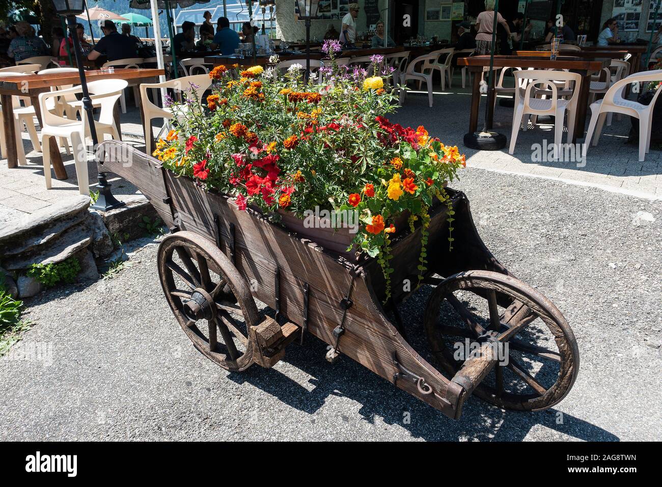 Wheelbarrow with colourful flowers hi-res stock photography and images ...