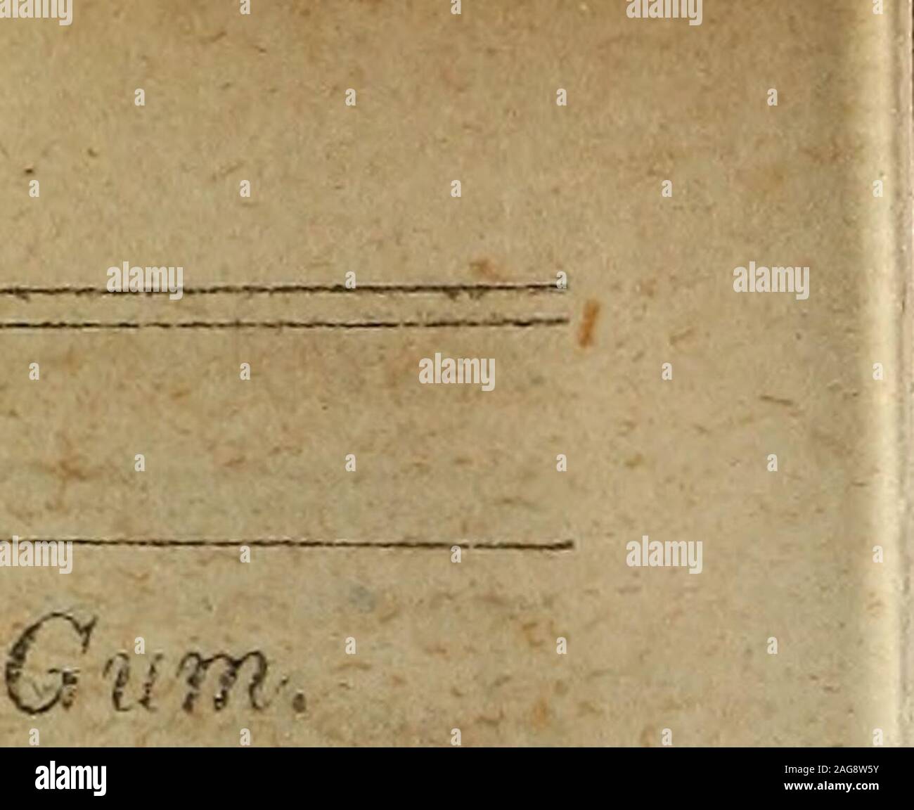 Polygamous family hi-res stock photography and images - Alamy