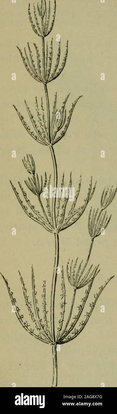 Radial lines under hi-res stock photography and images - Alamy