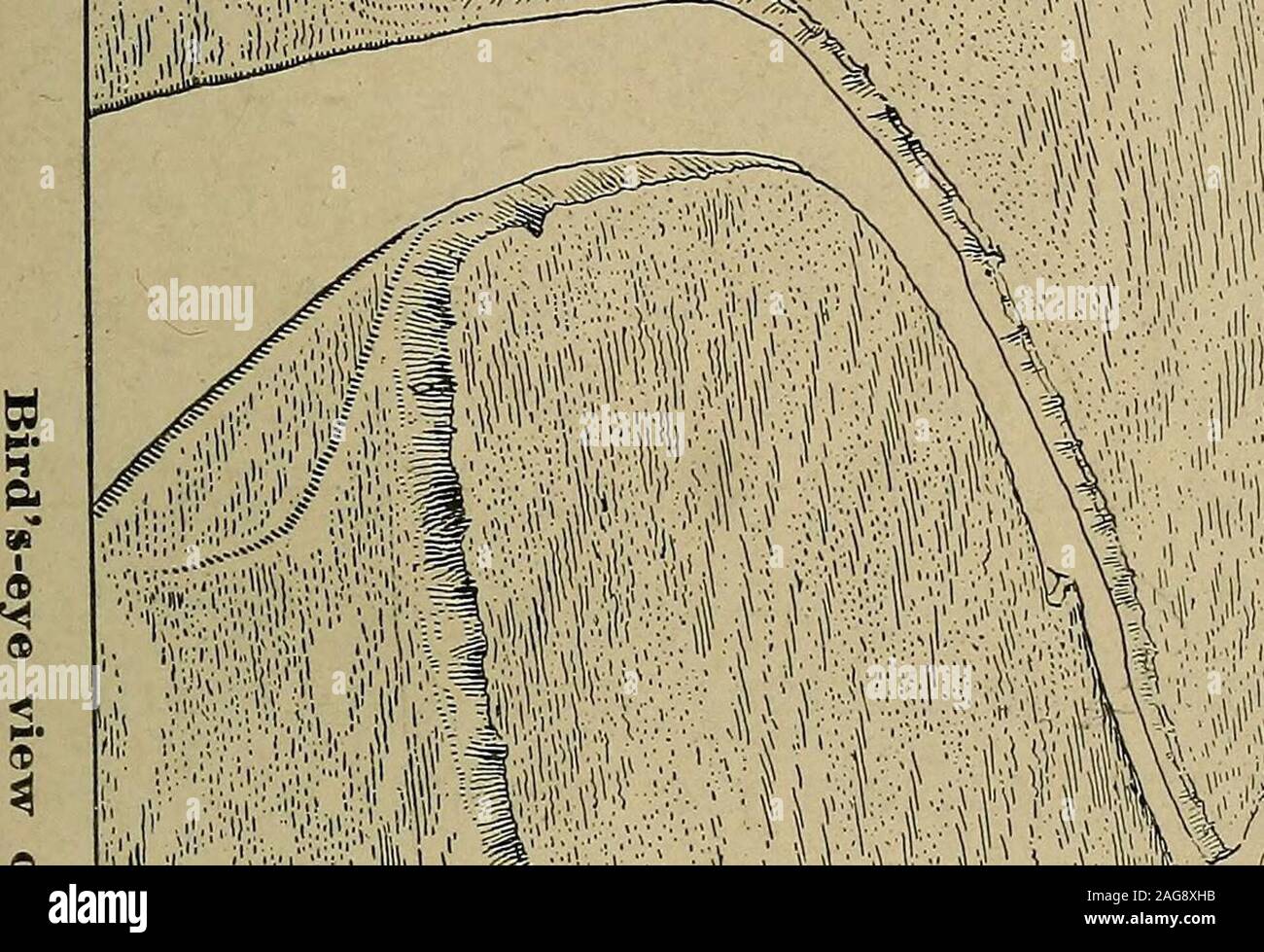 Thin section of limestone hi-res stock photography and images - Alamy