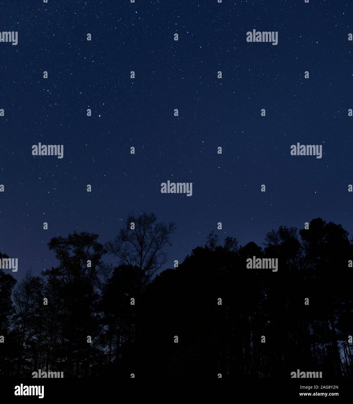 Dark treeline hi-res stock photography and images - Alamy