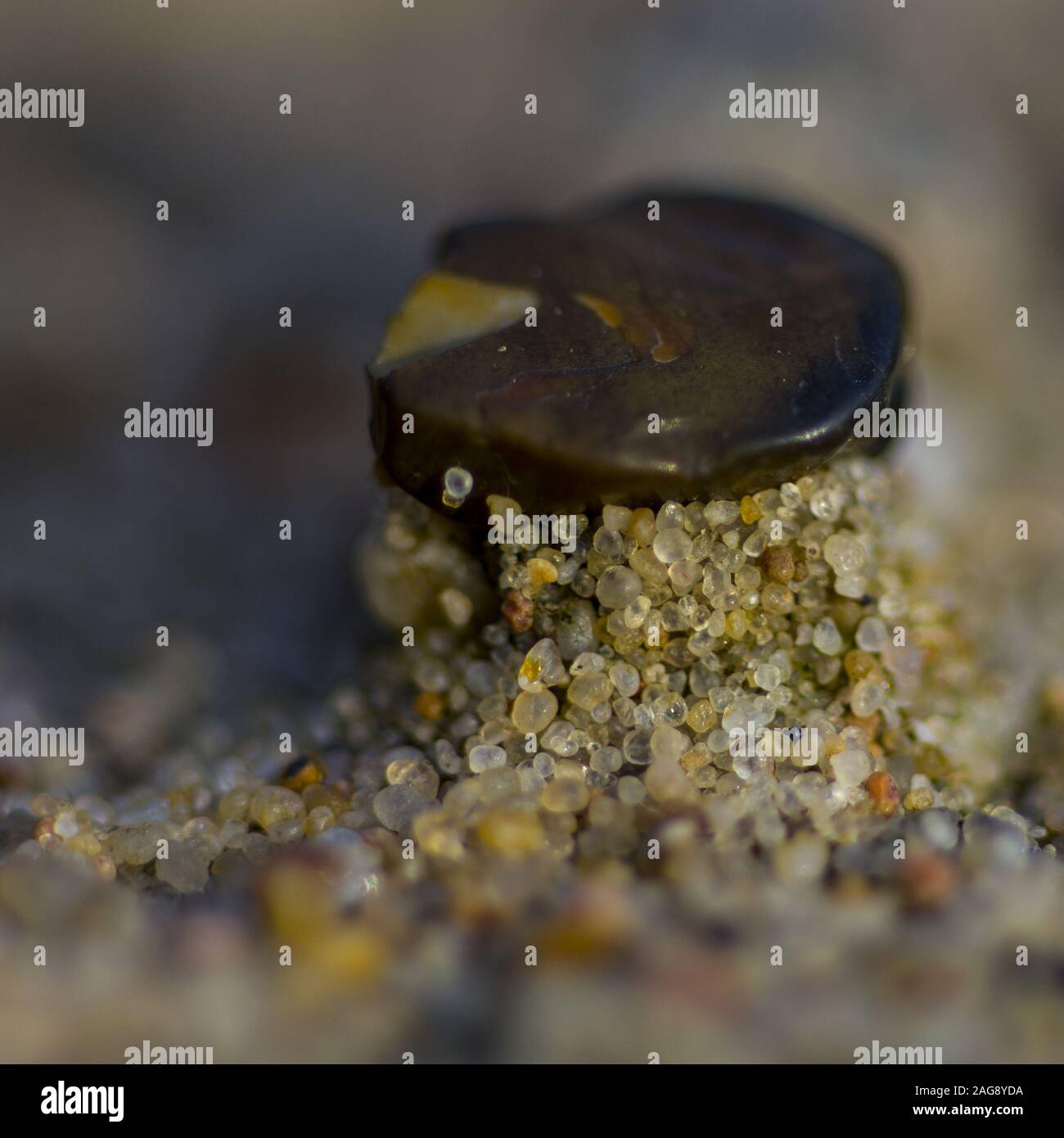 Close-up view of a small stone on sand Stock Photo - Alamy