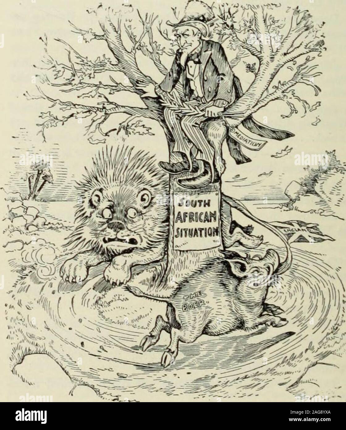 Anglo boer war cartoons hi-res stock photography and images - Alamy