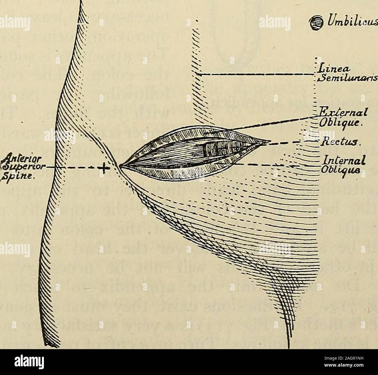 Obliquel hi-res stock photography and images - Alamy