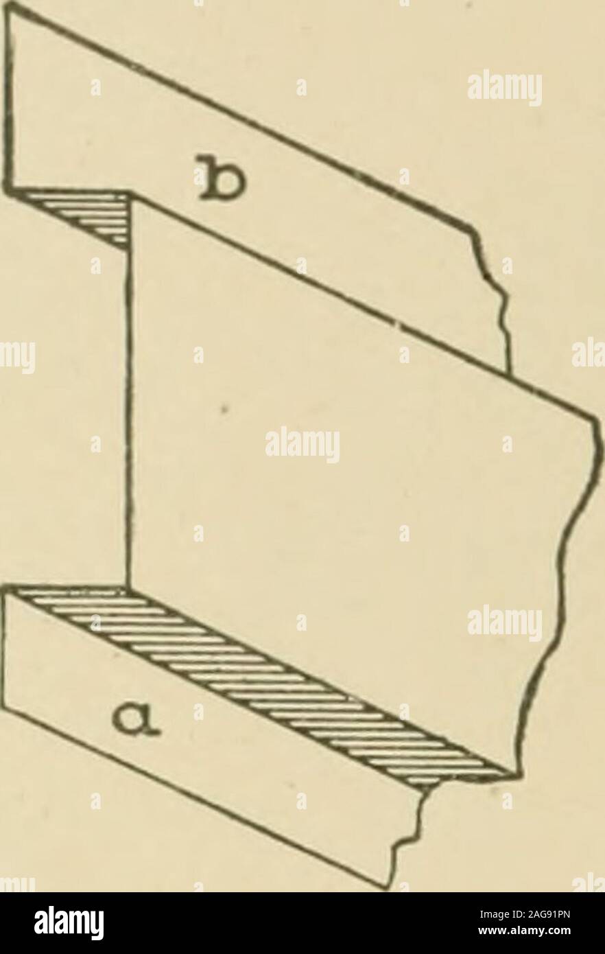 Rabbet hi-res stock photography and images - Alamy