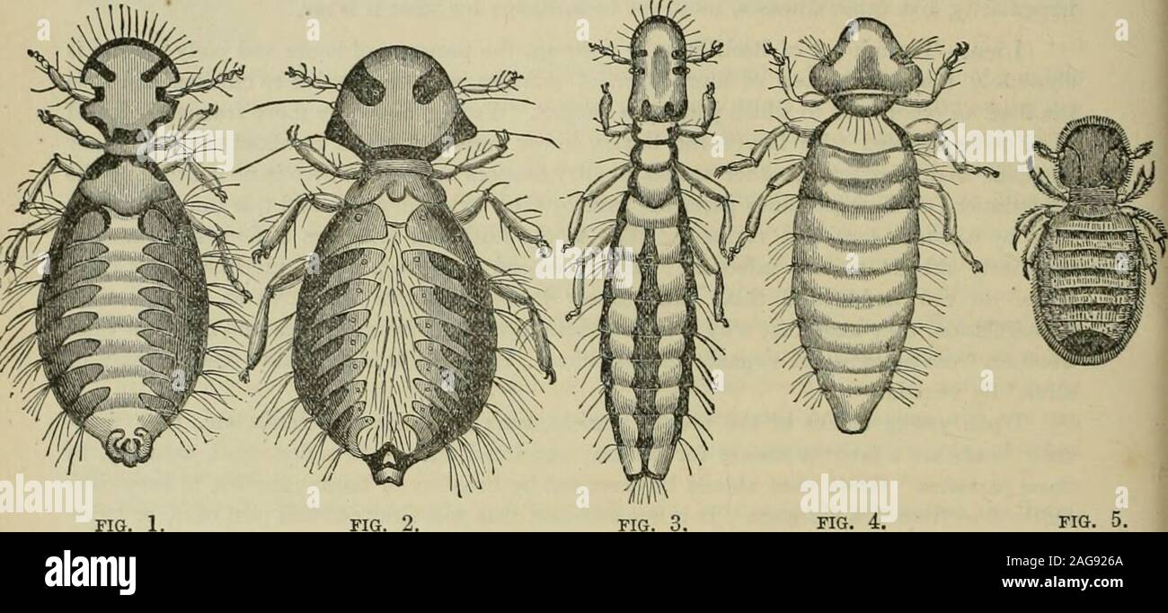 Devoted spirits hi-res stock photography and images - Alamy