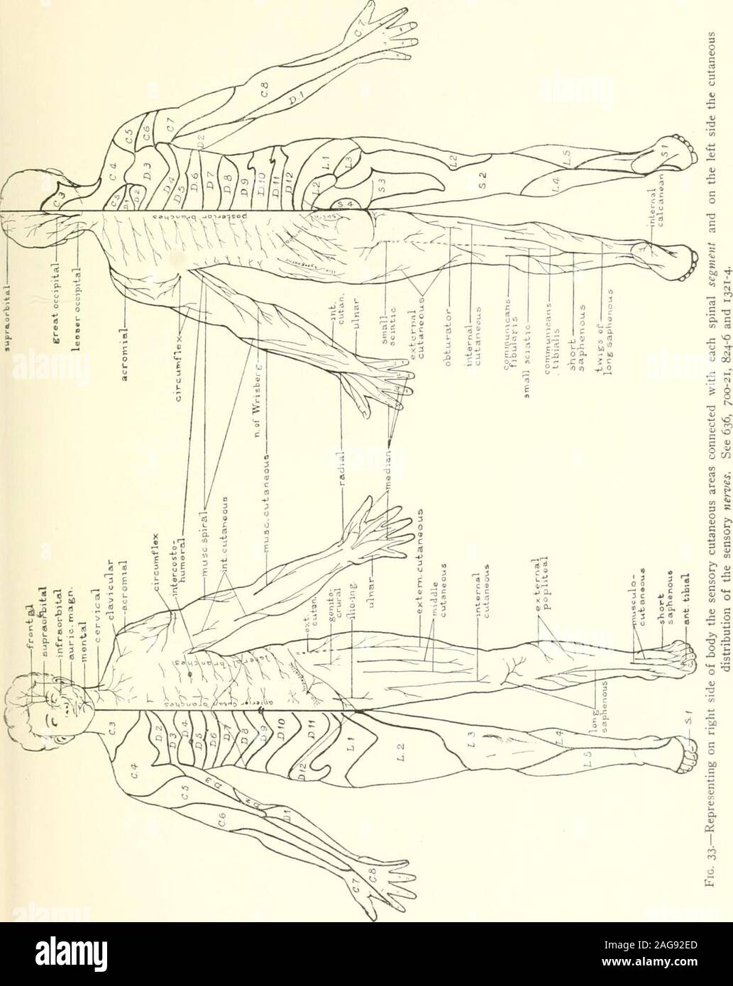 . An atlas of the differential diagnosis of the diseases of the nervous ...