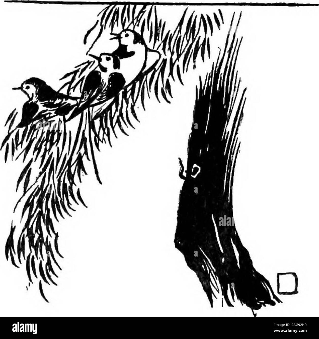 Sarugaku Black and White Stock Photos & Images - Alamy