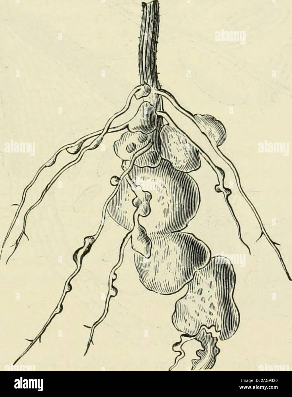 . Natural science: a monthly review of scientific progress. ots of ...