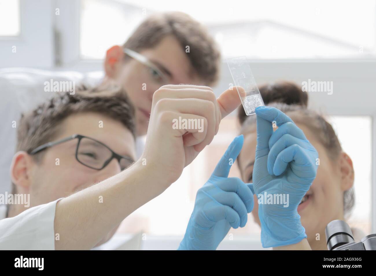 Group of young Laboratory scientists working at lab with test tubes and ...