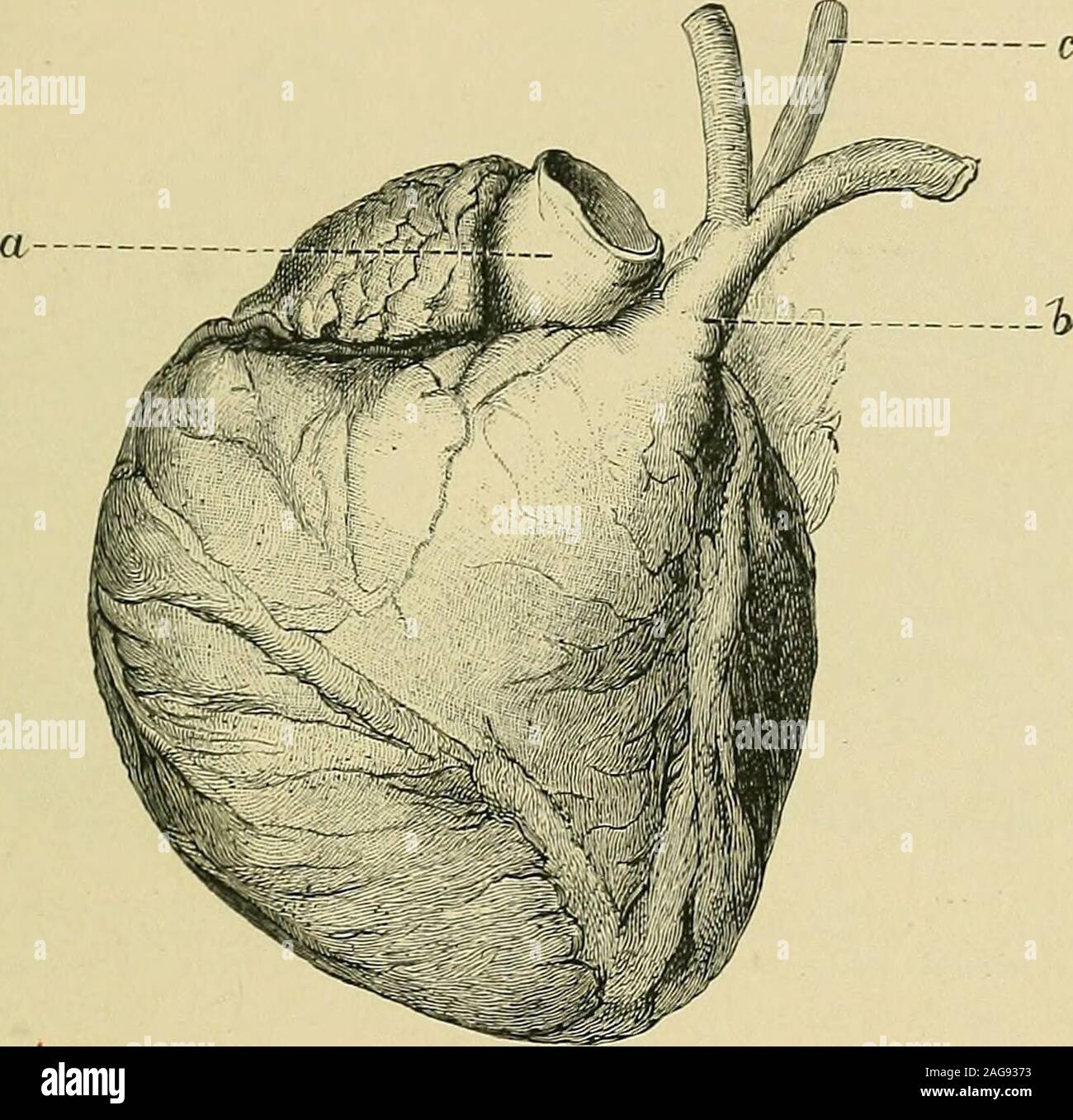Pendlebury children’s hospital hi-res stock photography and images - Alamy