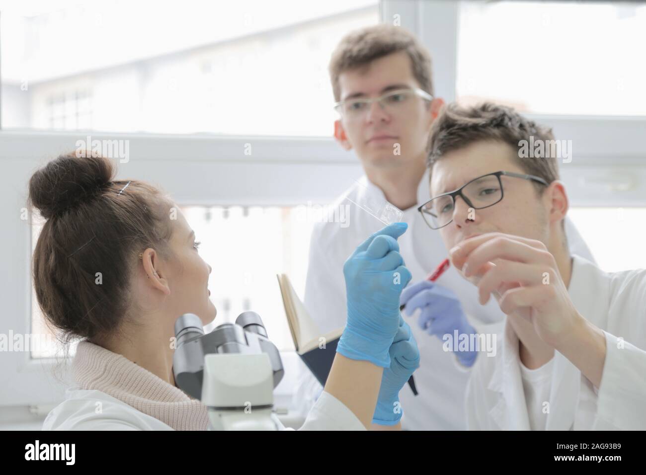 Group of young Laboratory scientists working at lab with test tubes and ...