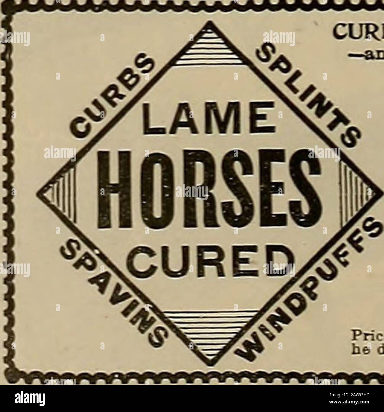 Bog spavin horse hi-res stock photography and images - Alamy