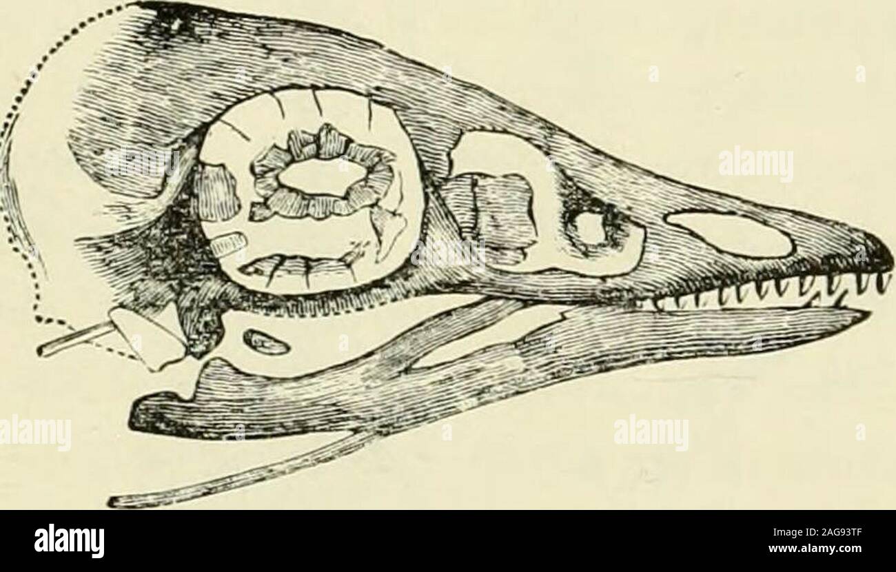 Thematrix hi-res stock photography and images - Alamy