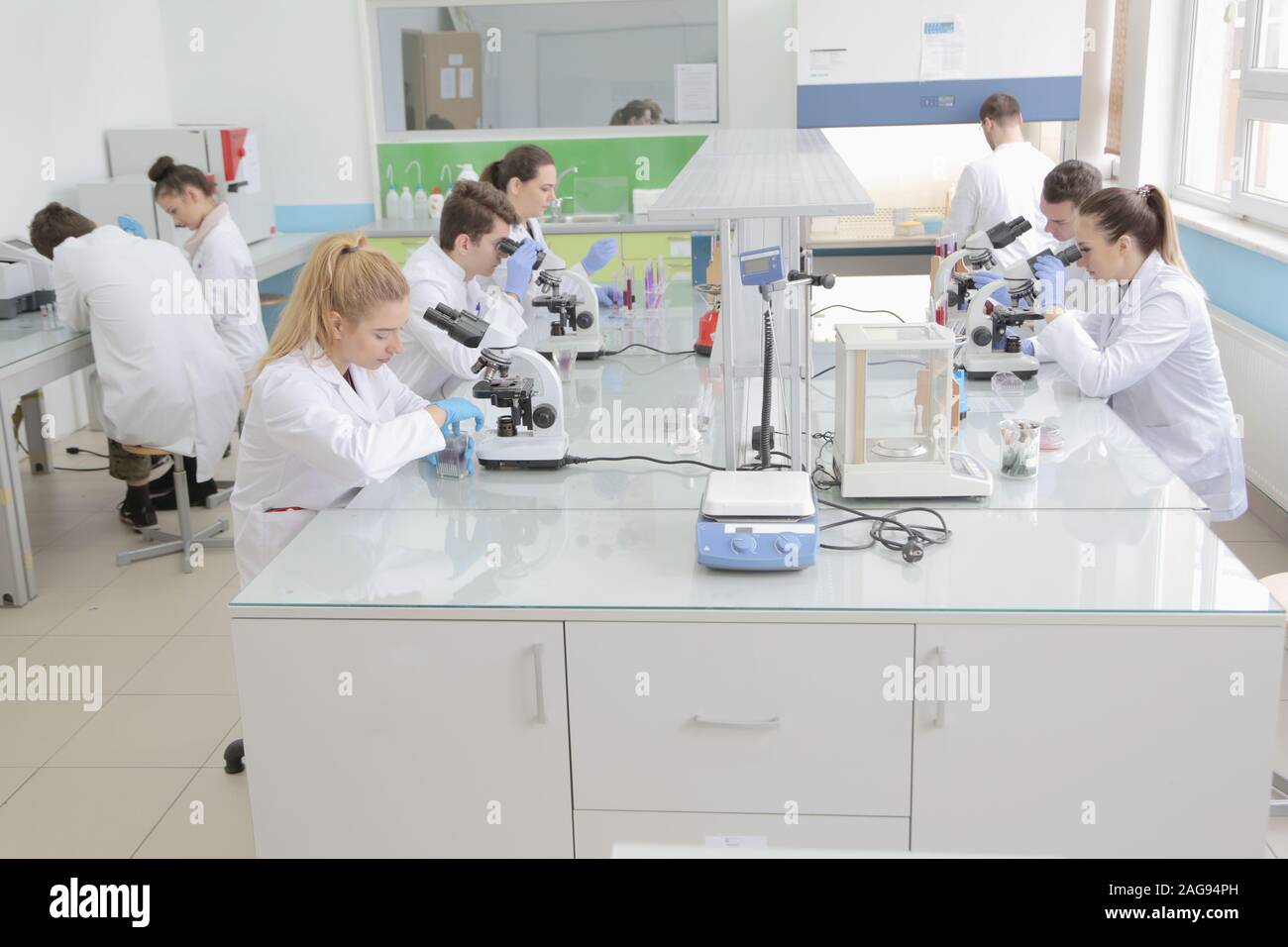 Group of young Laboratory scientists working at lab with test tubes and ...